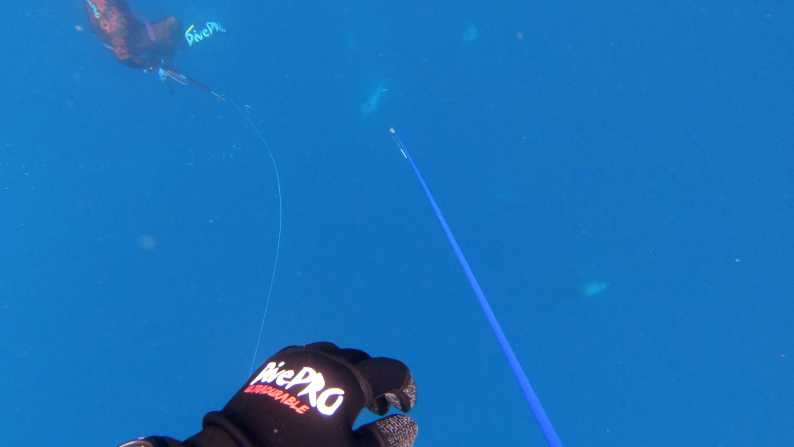 DivePRO Heavy Duty Float Line Spearfishing Float Line Speargun Float ...